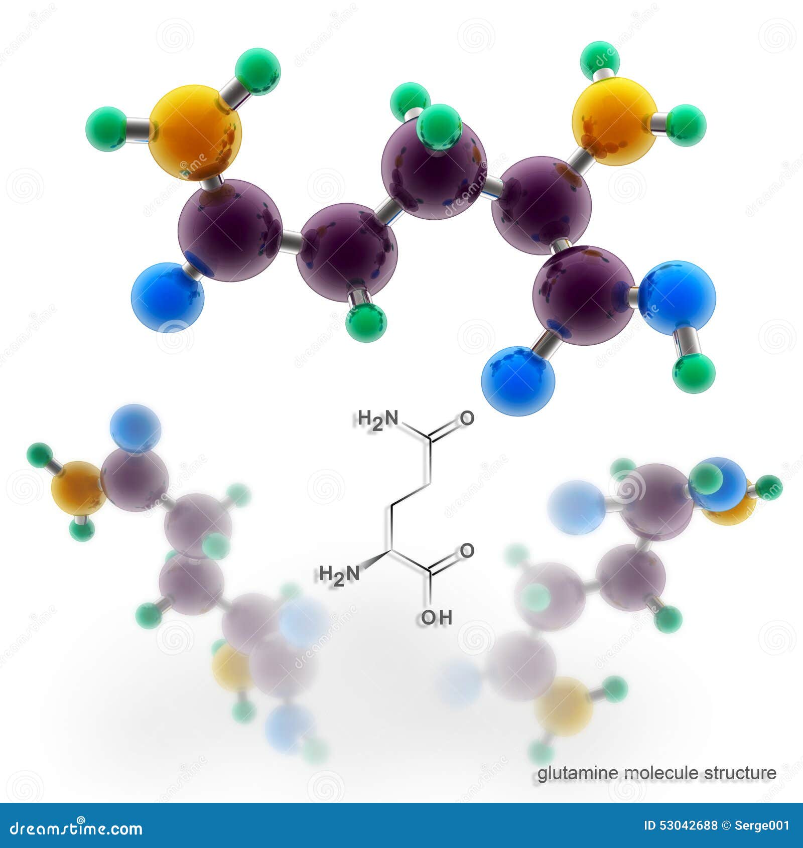 Glutamine Molecule Structure Stock Illustration - Illustration of model ...