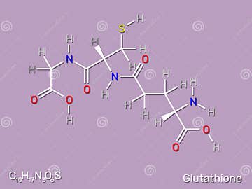 Glutathione GSH Structural Formula. Vector Illustration Stock Vector ...