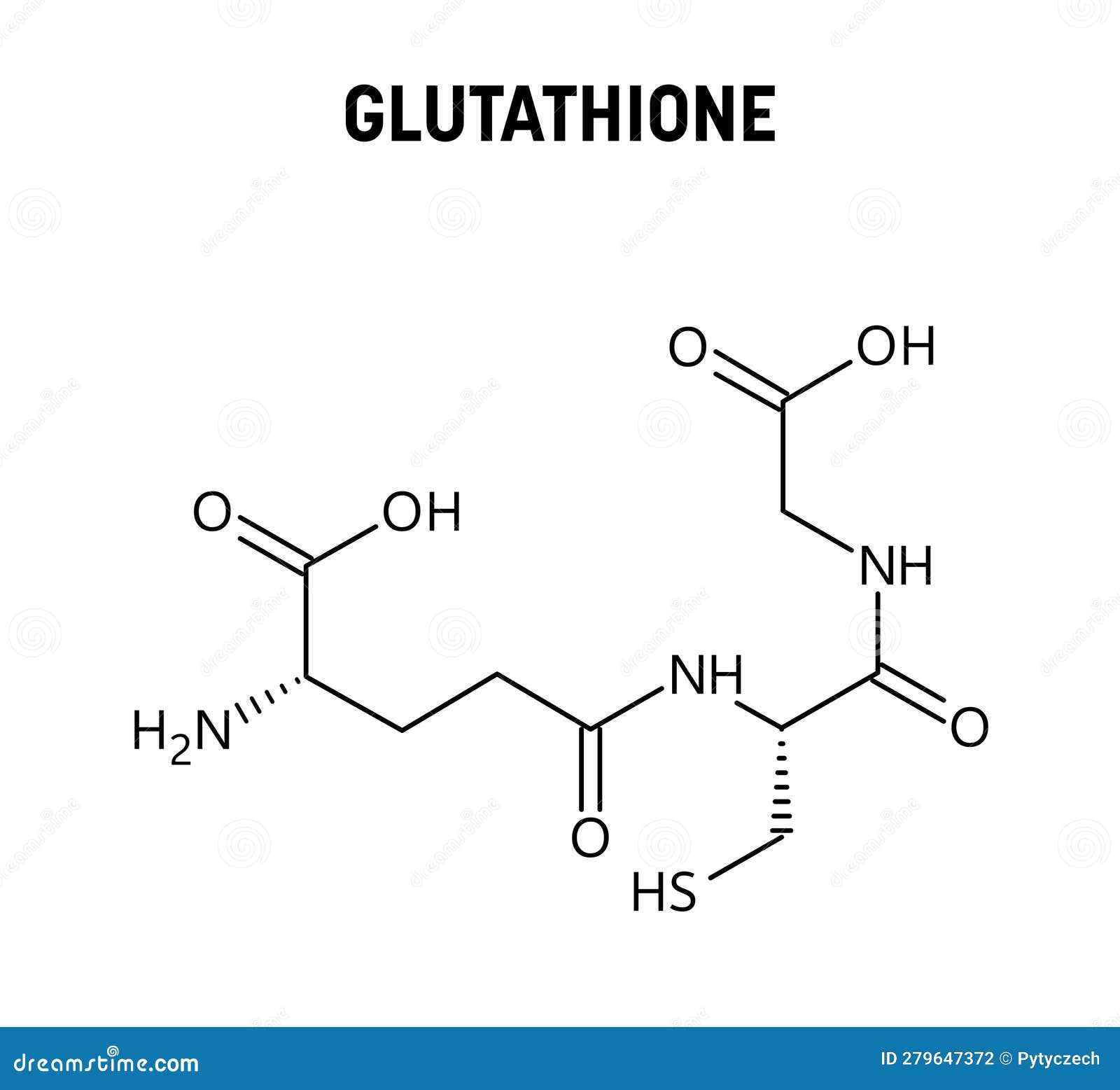 Glutathione Structural Formula of Molecular Structure Stock Vector ...