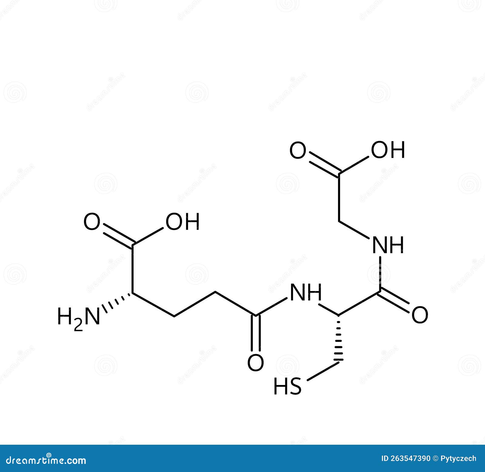 Glutathione Structural Formula Of Molecular Structure Vector ...