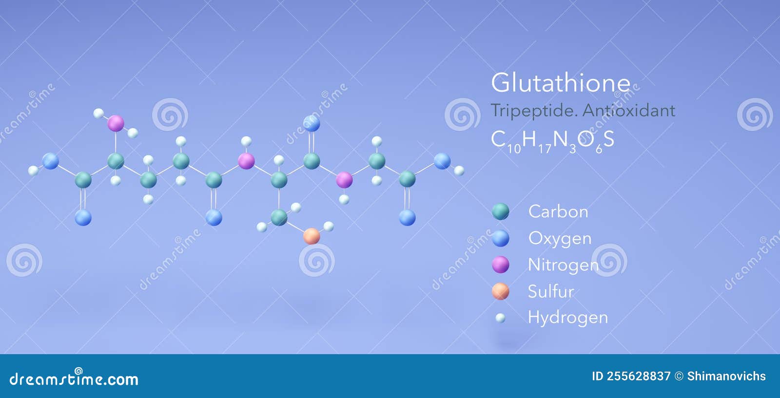 Glutathione, Tripeptide, Molecular Structures, 3d Model, Structural ...