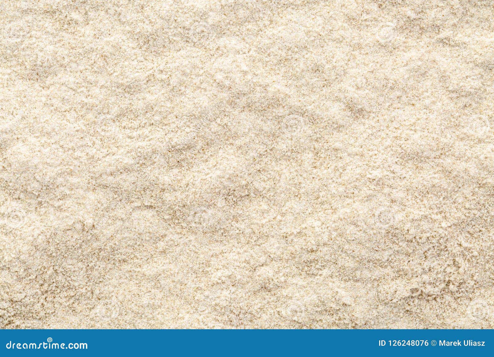 Gluten Free Ivory Teff Flour Stock Photo - Image of view, ingredient ...