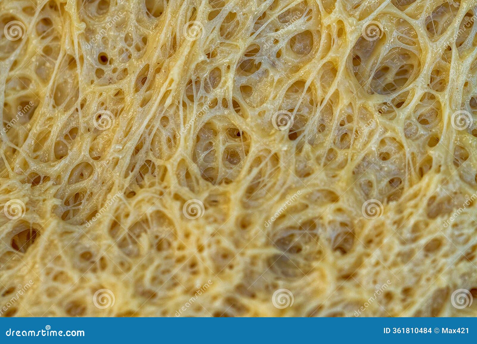 Gluten Structure, Sourdough Bread Stock Photo - Image of spaghetti ...
