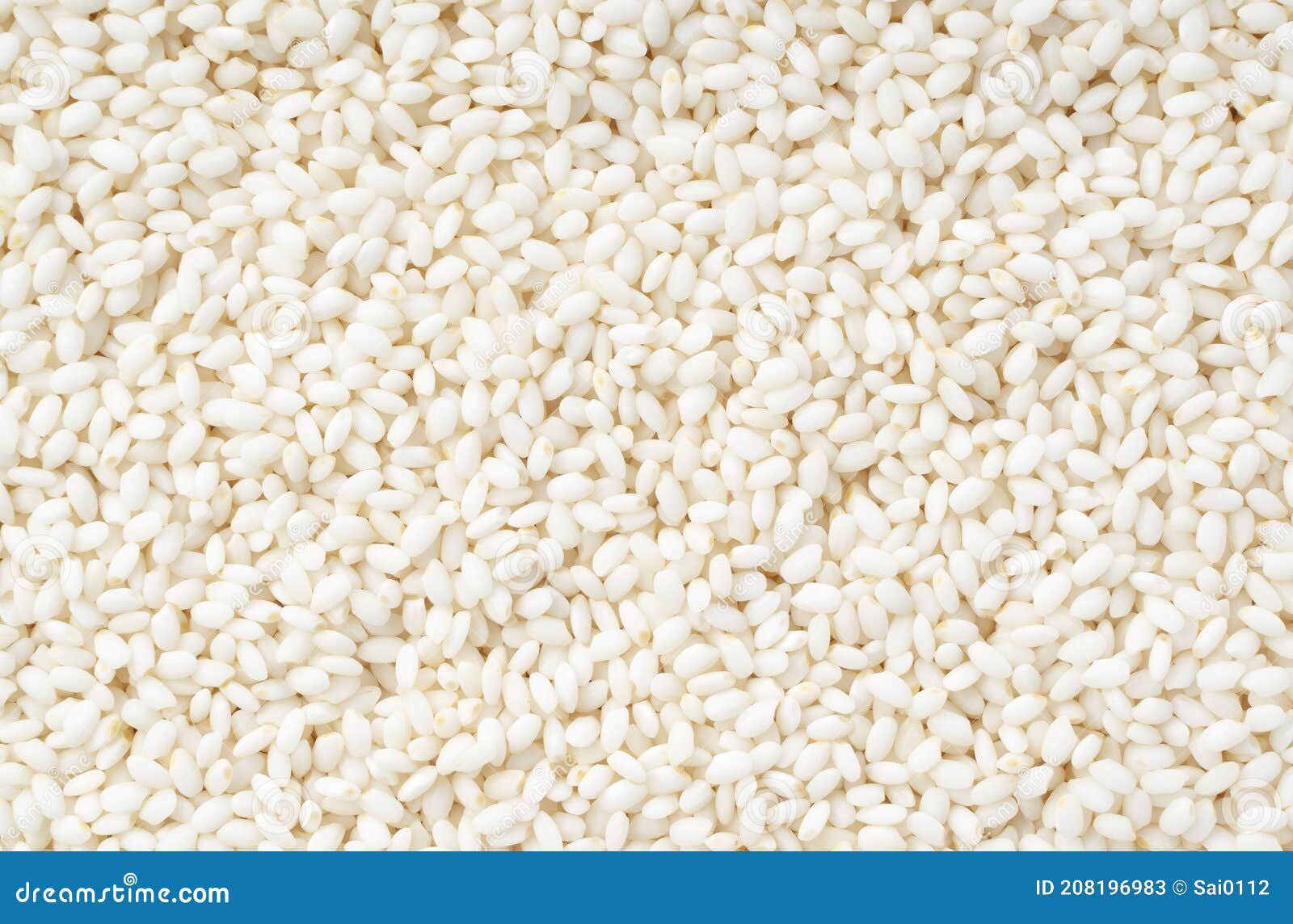 Glutinous Rice Spread Over the Entire Screen Stock Image - Image of ...