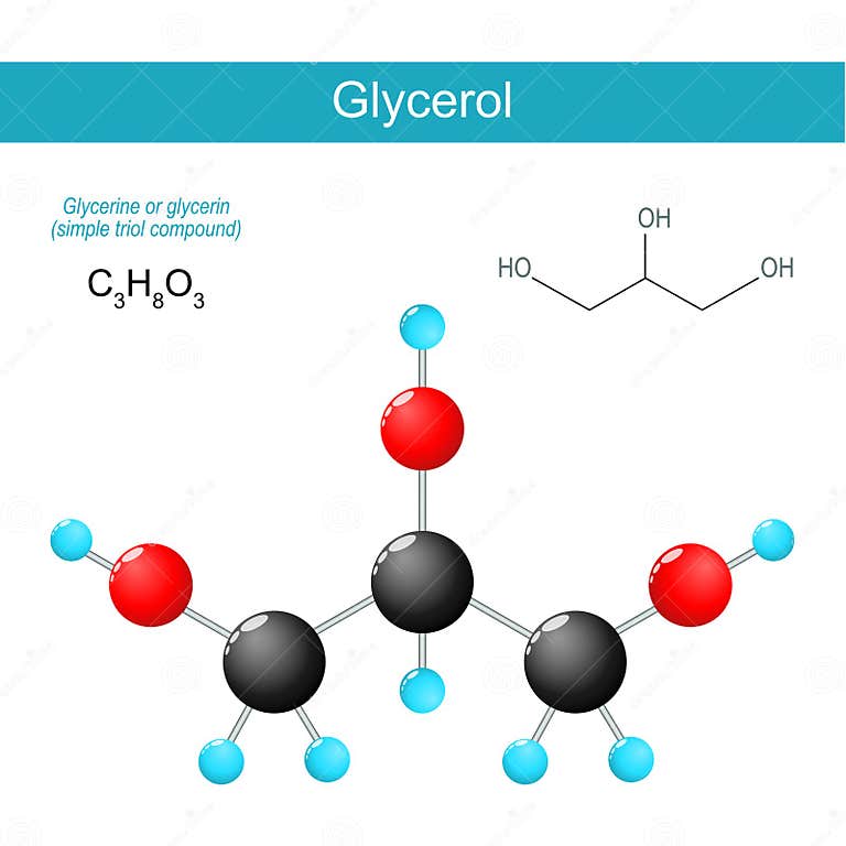 Glycerol Molecule Stock Vector Illustration Of Organic 285702578