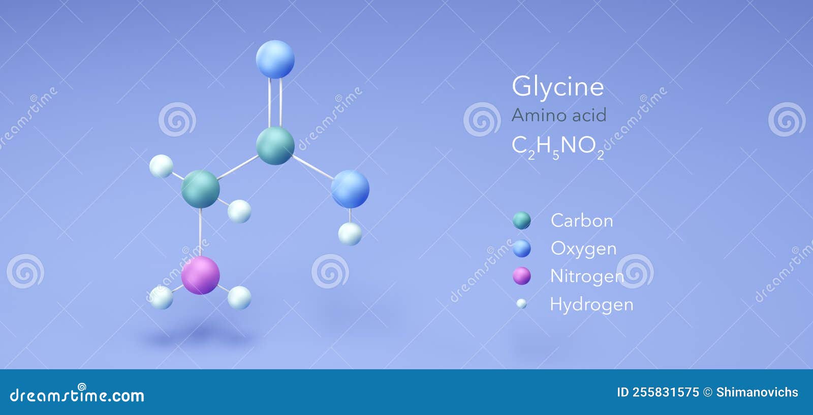 Glycine, Amino Acid, Molecular Structures, 3d Model, Structural ... Glycine, Amino Acid, Molecular Structures, 3d Model, Structural ...