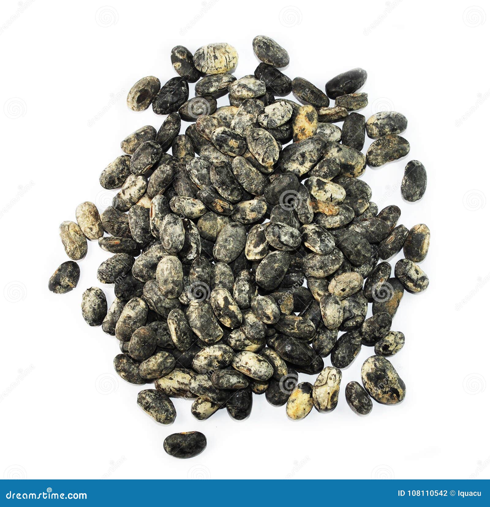 Glycine Maximum Dan Dou Chi Photo stock - Image du chinois, normal ...