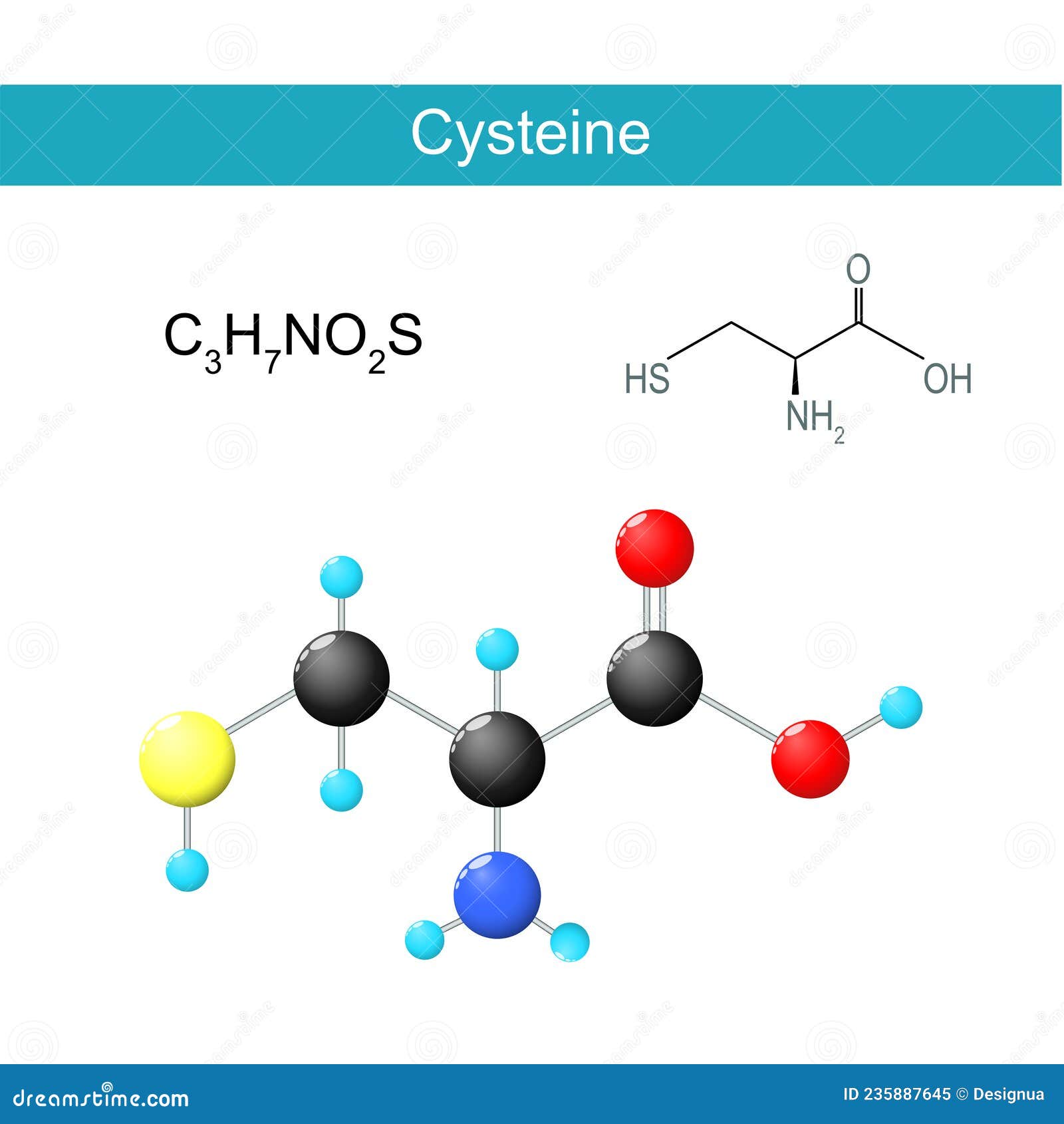 Glycine Molecular Chemical Structural Formula Stock Vector ...
