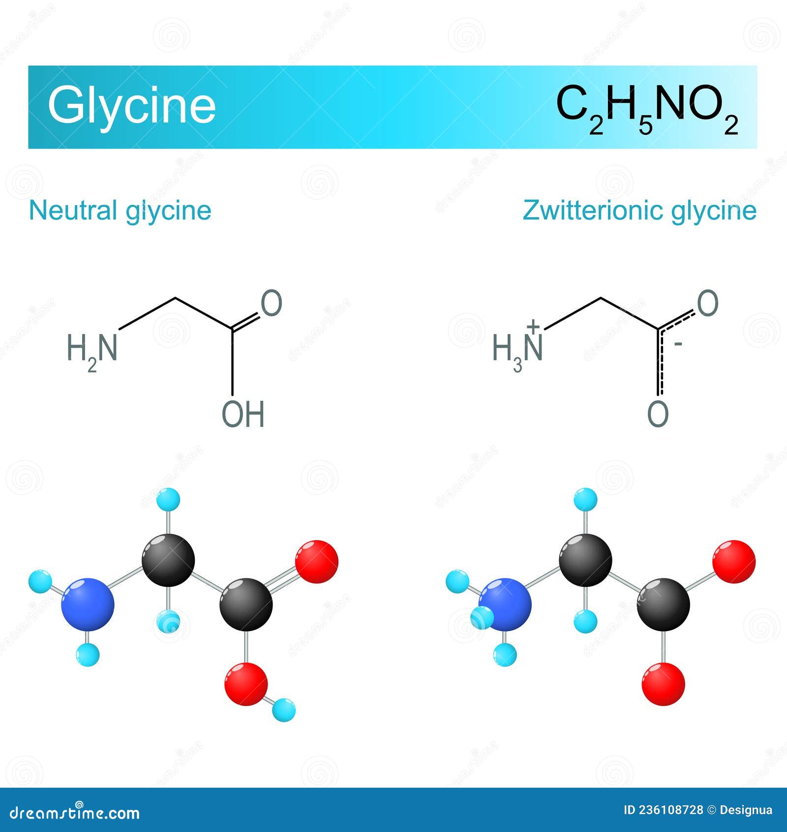 Glycine molecular formula stock vector. Illustration of atomic - 236108728 Glycine molecular formula stock vector. Illustration of atomic - 236108728