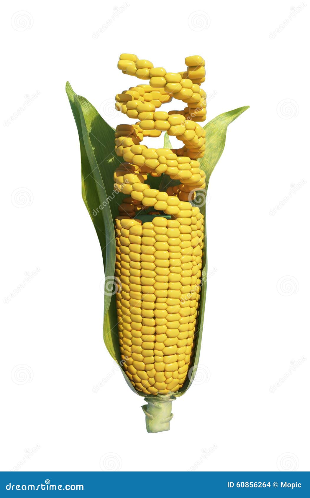 GMO corn stock illustration. Illustration of biotechnology - 60856264