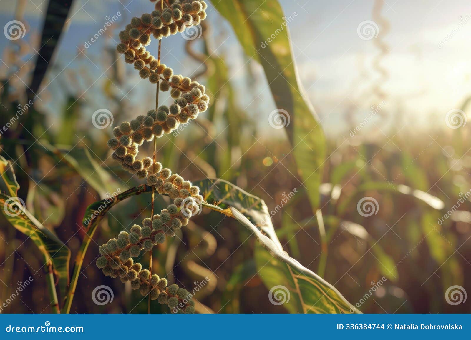 GMO Crops and Organisms with Futuristic Biotechnology in a Controlled ...