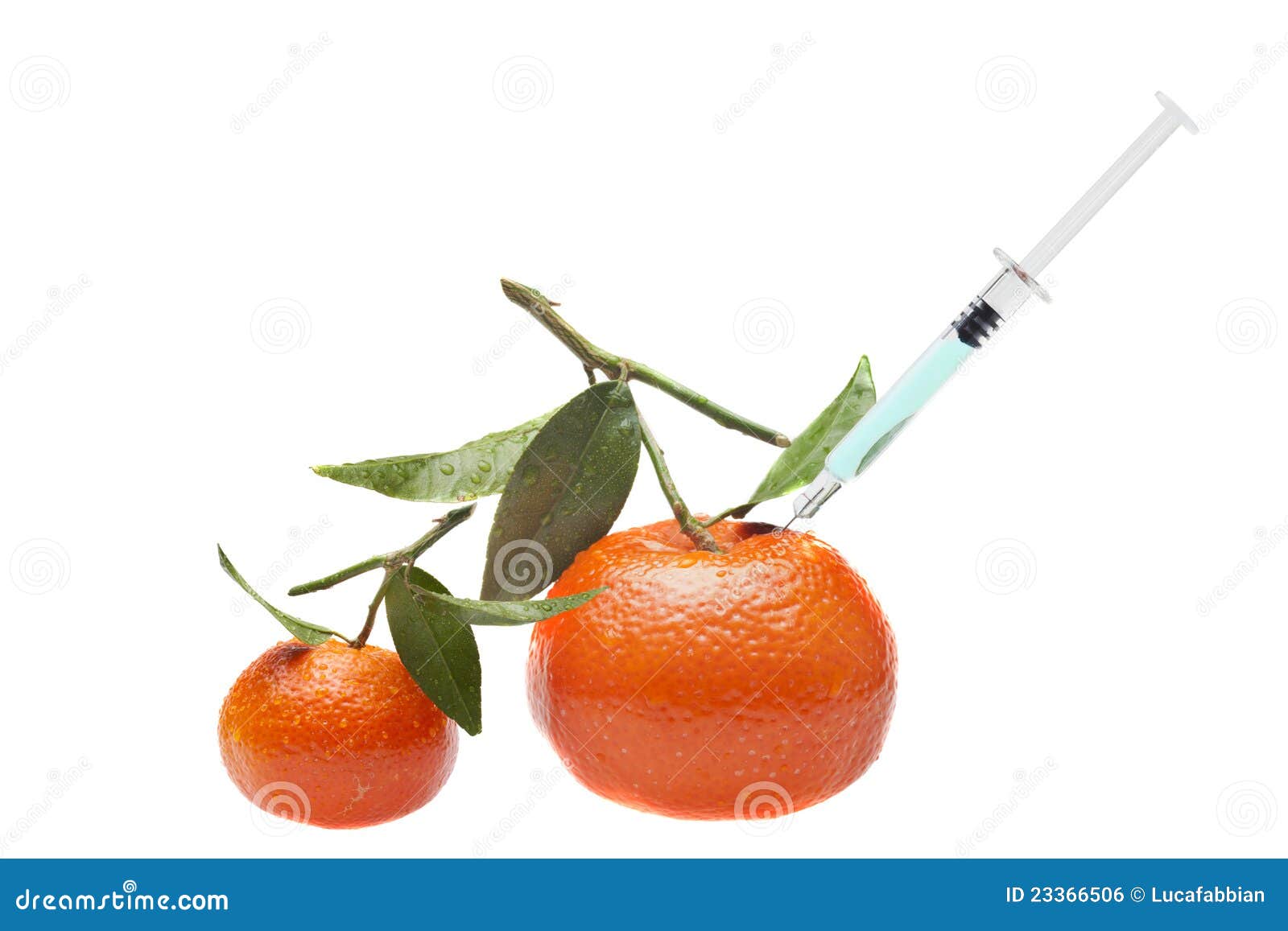 GMO Fruit - Genetic Modification Stock Photo - Image of customized ...