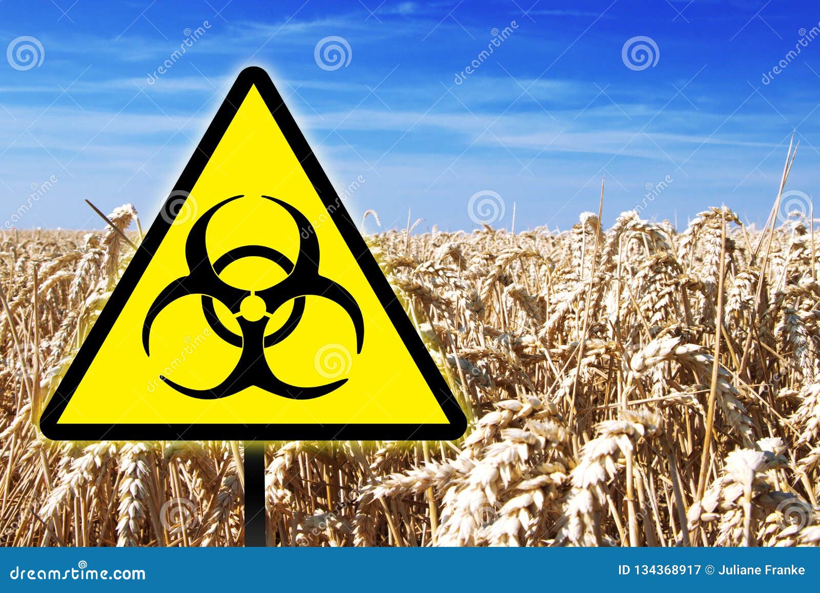 Gmo Genetic Modified Food Warning Sign Stock Image - Image of white ...