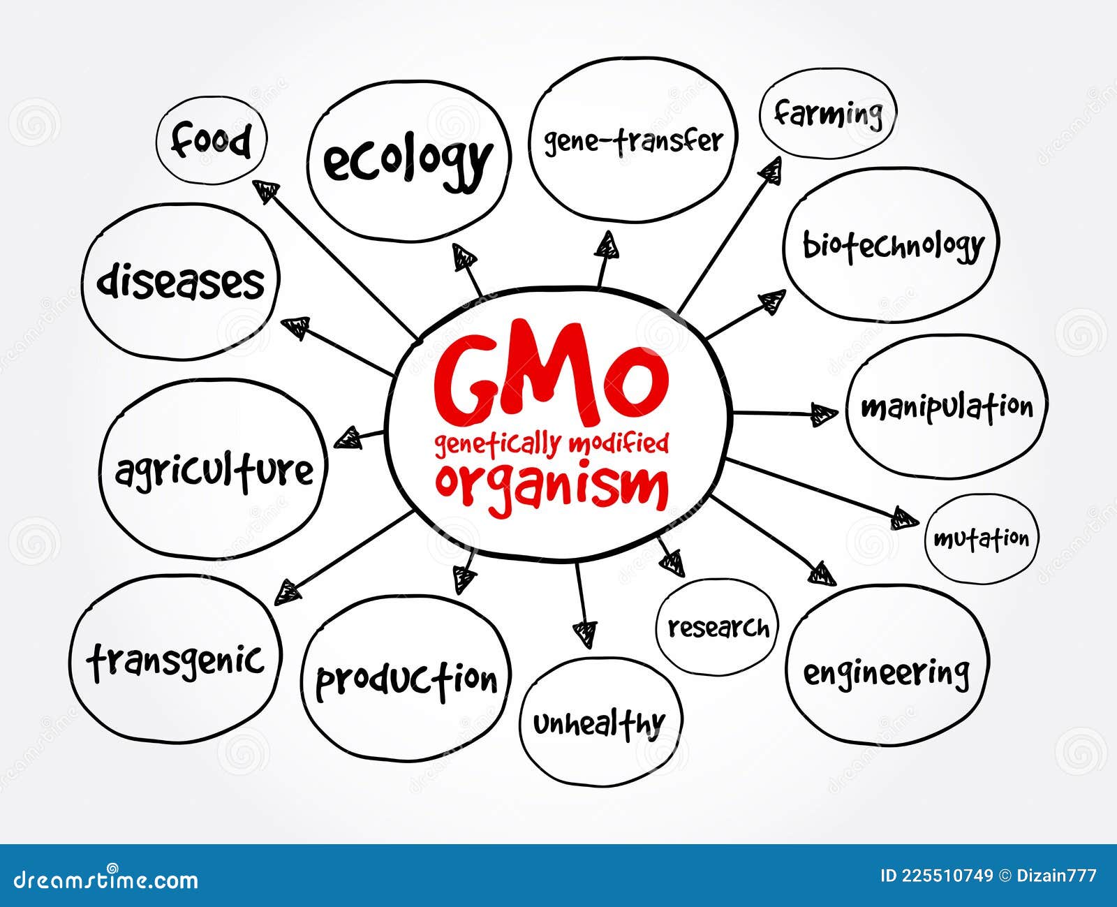 Genetically Modified Organisms Diagram