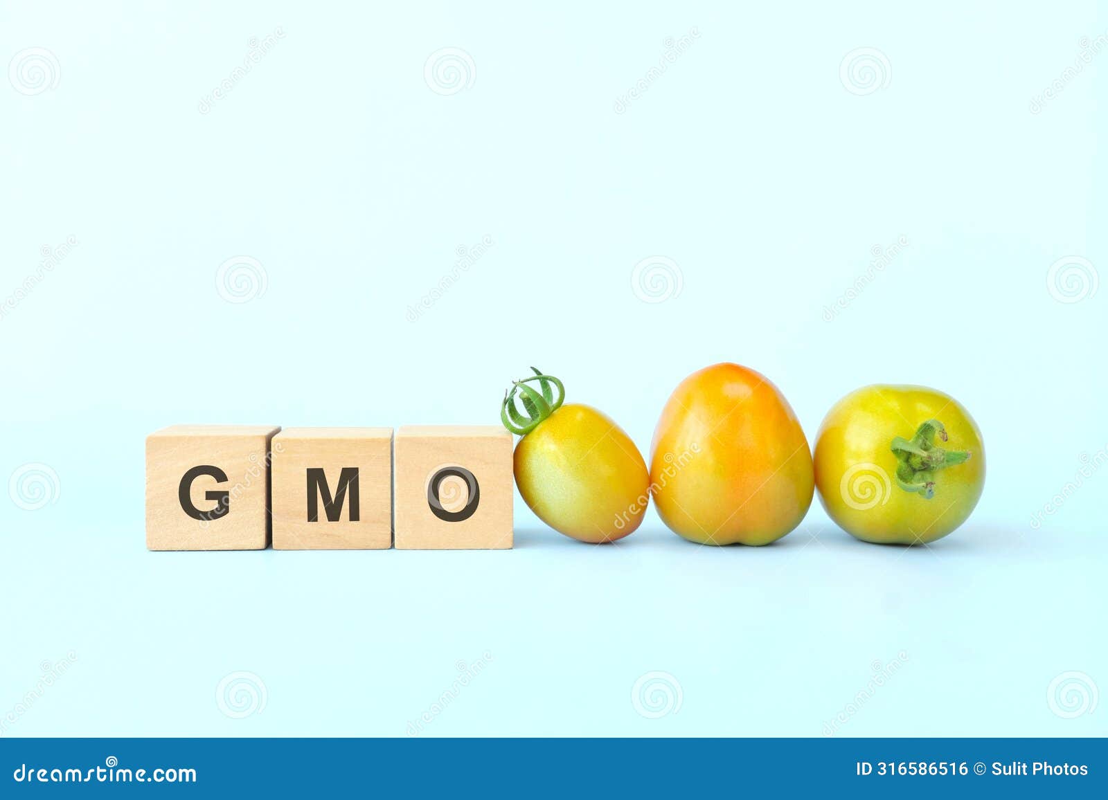 GMO or Genetically Modified Organisms Food and Crop Concept. Typography ...