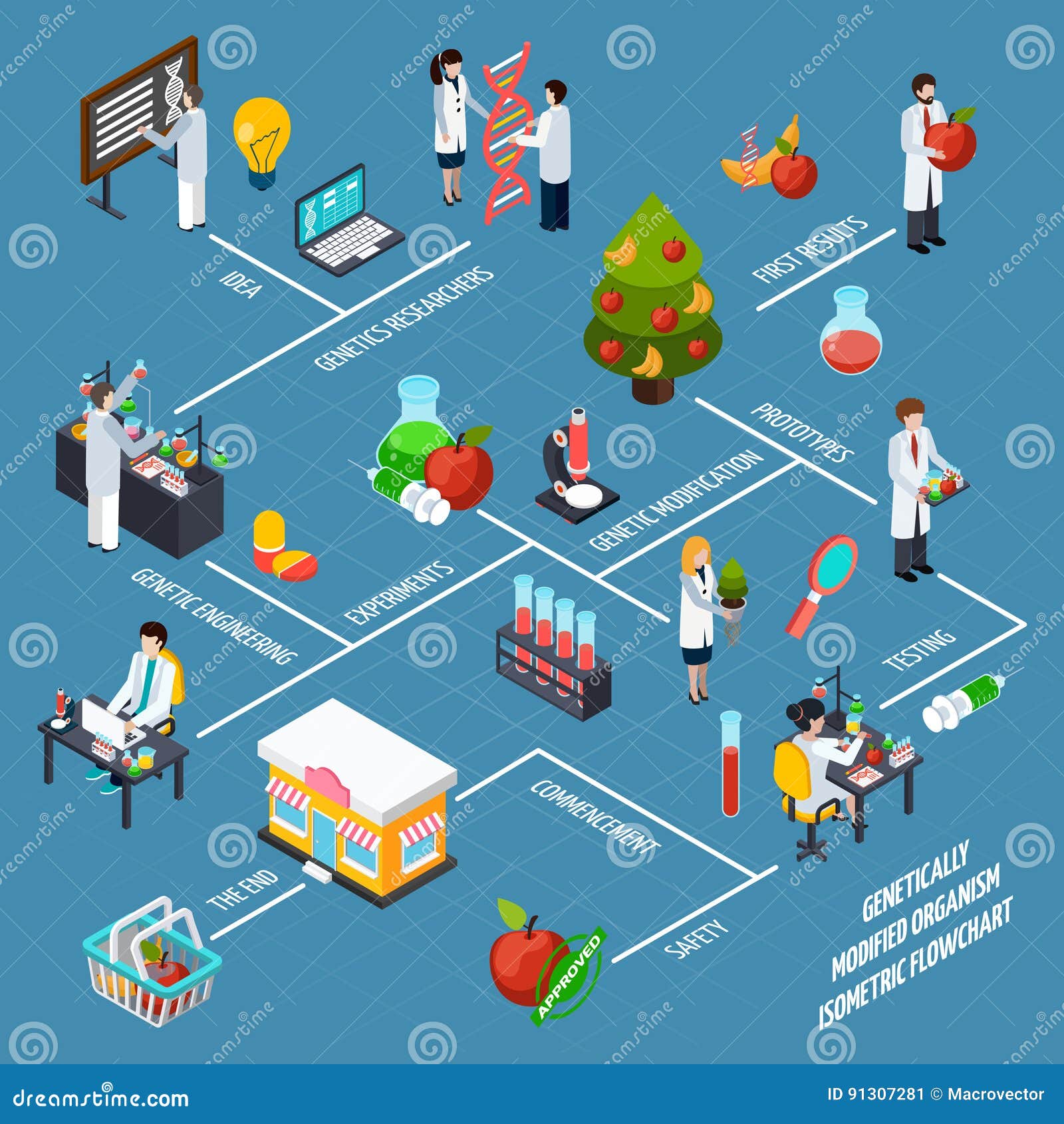 Gmo Isometric Flowchart stock vector. Illustration of design - 91307281