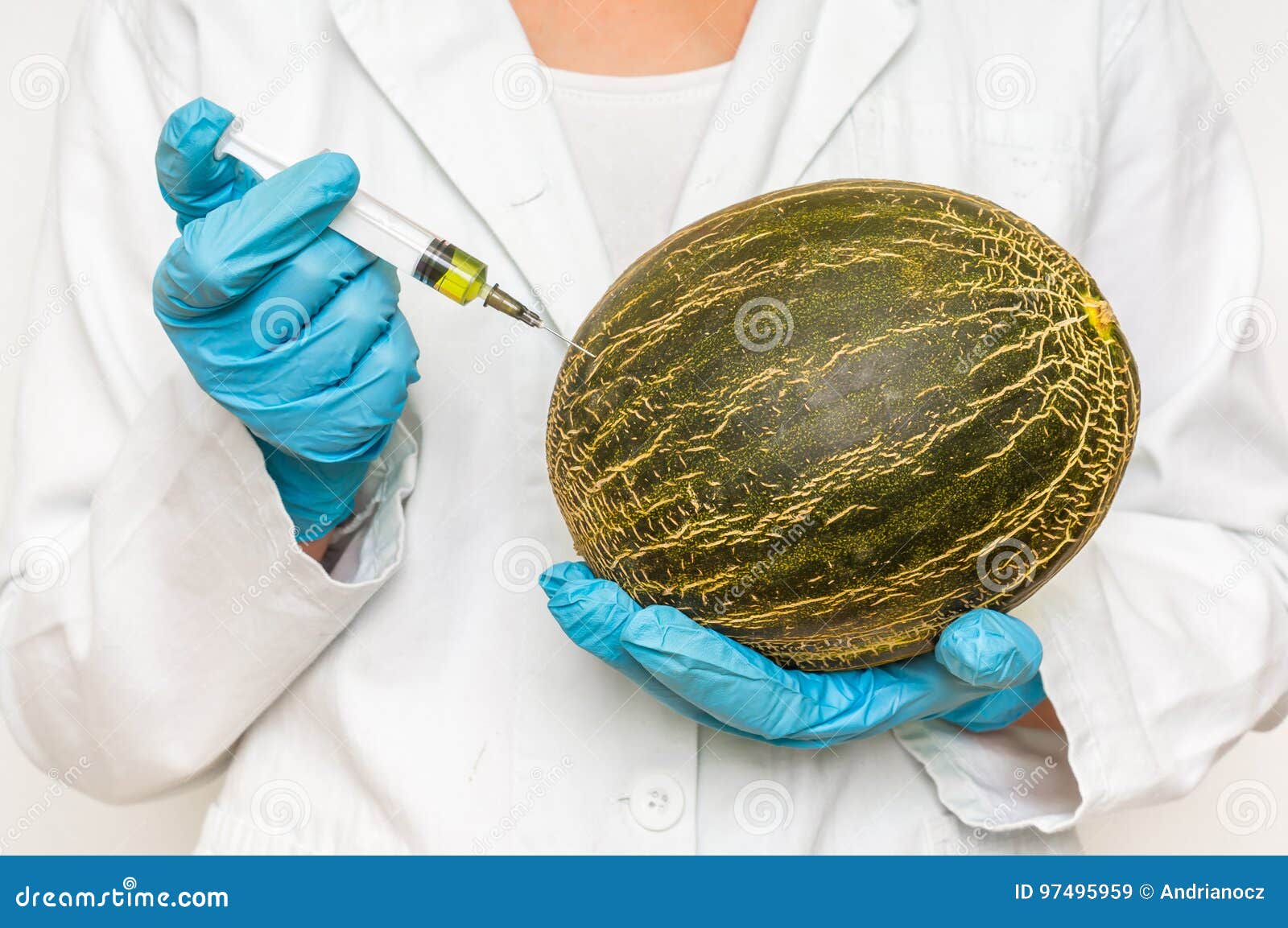 GMO Scientist Injecting Liquid from Syringe into Melon Stock Image ...