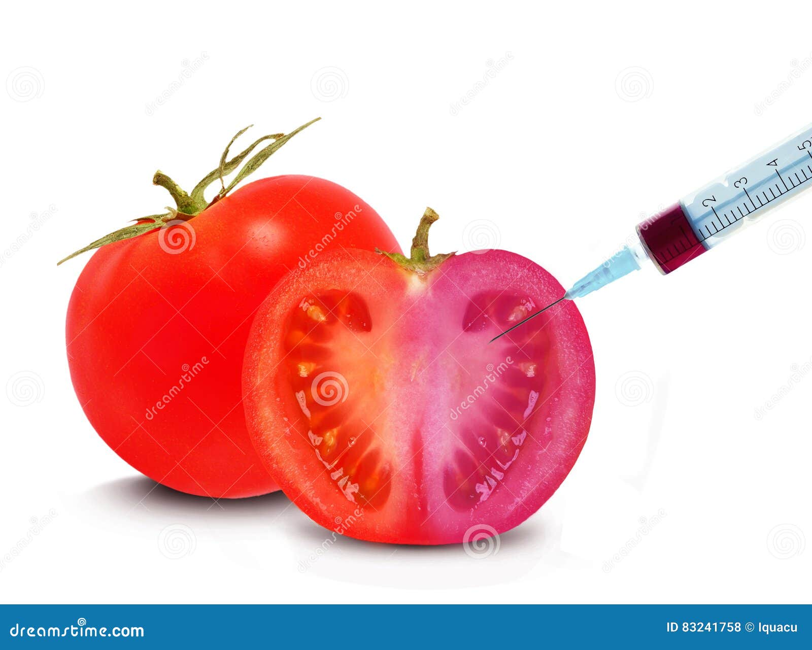 GMO tomato stock photo. Image of medicine, experiment - 83241758