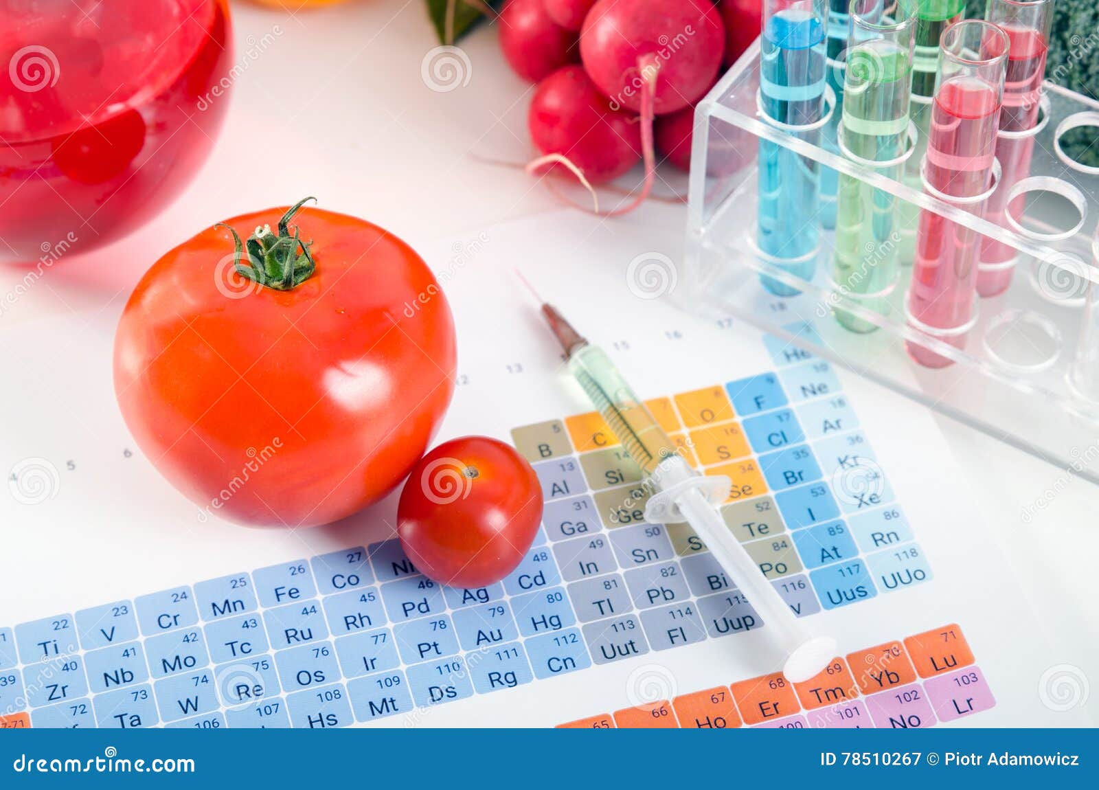 GMO Tomatoes, Syringe, Test Tubes in Laboratory on Periodic Table ...