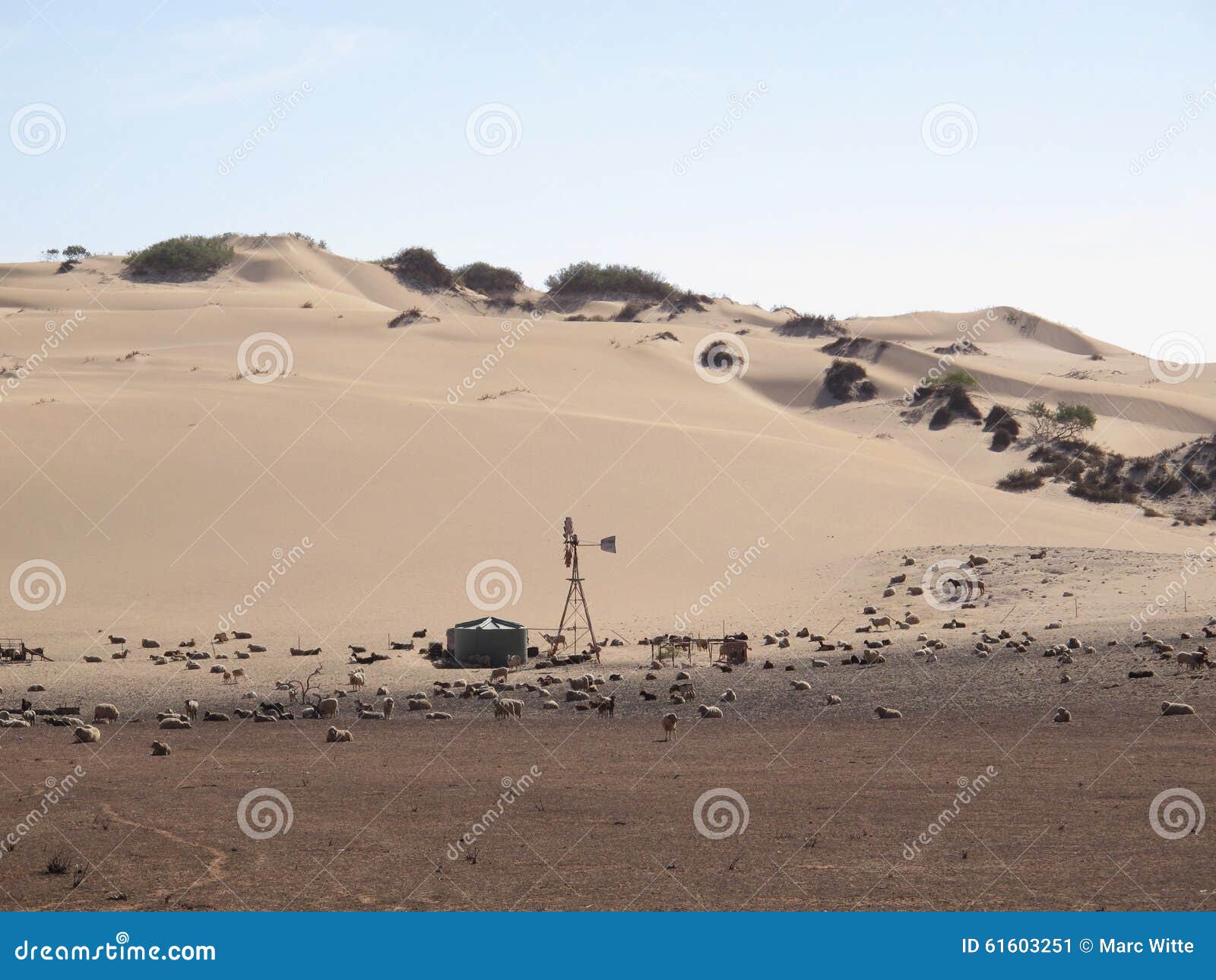 Gnaraloo Station, Western Australia Stock Image - Image of holiday ...
