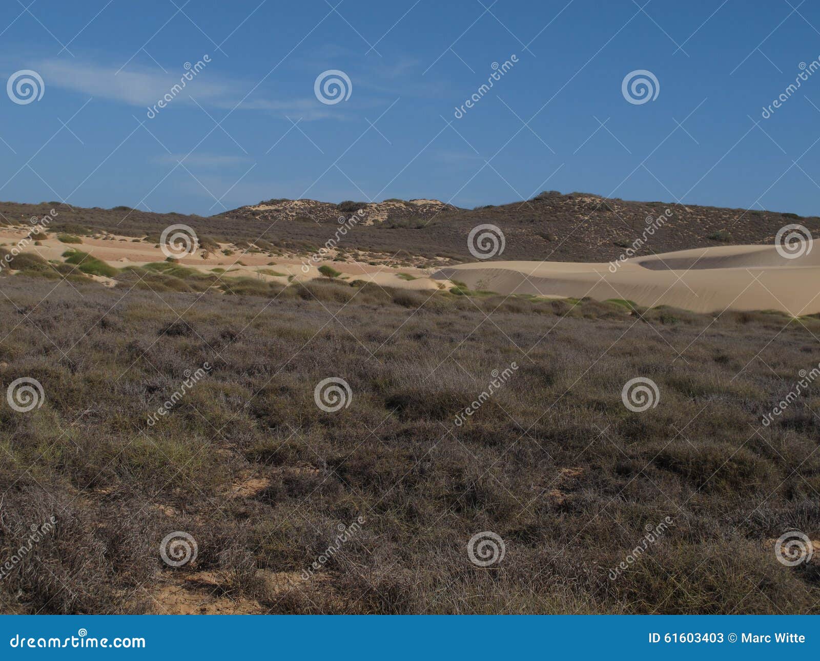 Gnaraloo Station, Western Australia Stock Image - Image of gnaraloo ...