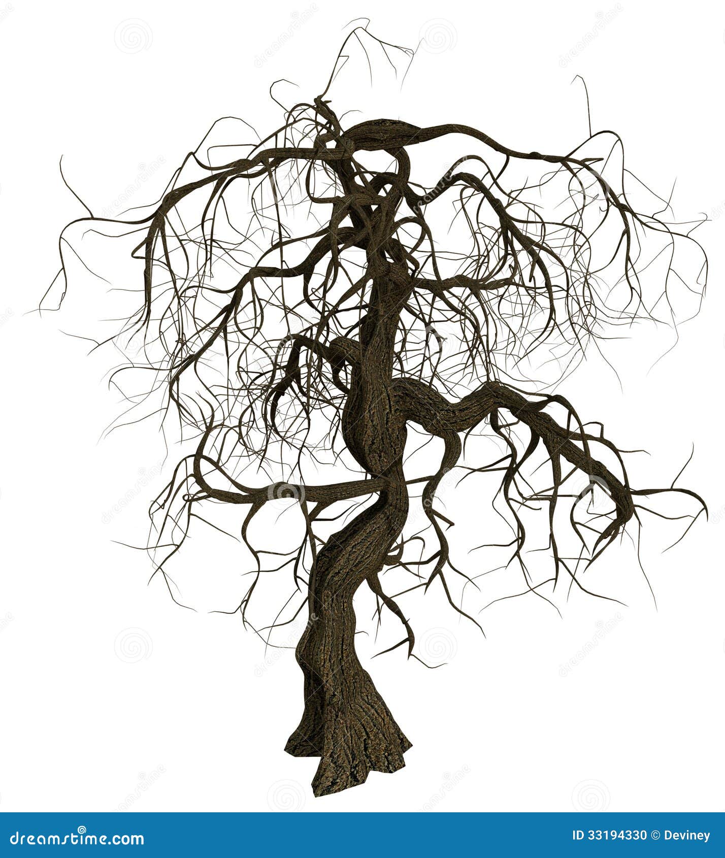 Gnarled Old Tree with Bare Branches Stock Photo - Image of white ...
