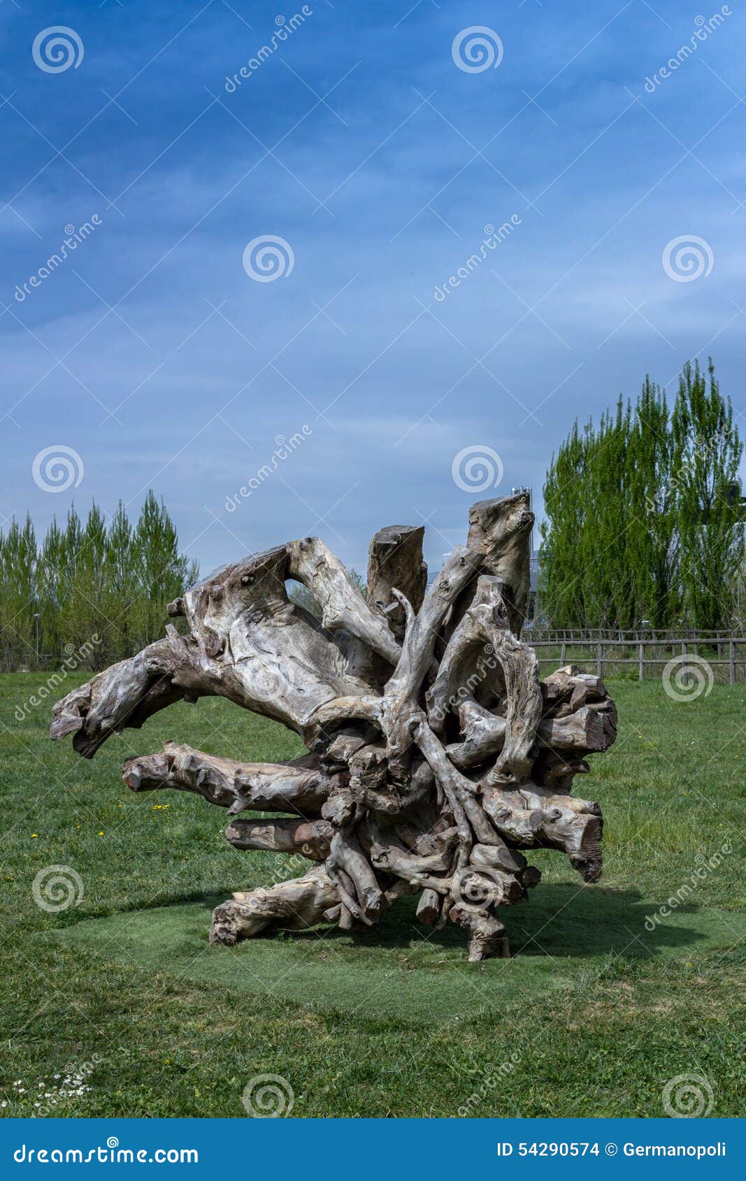 Gnarled tree editorial stock image. Image of modern, sculpture - 54290574