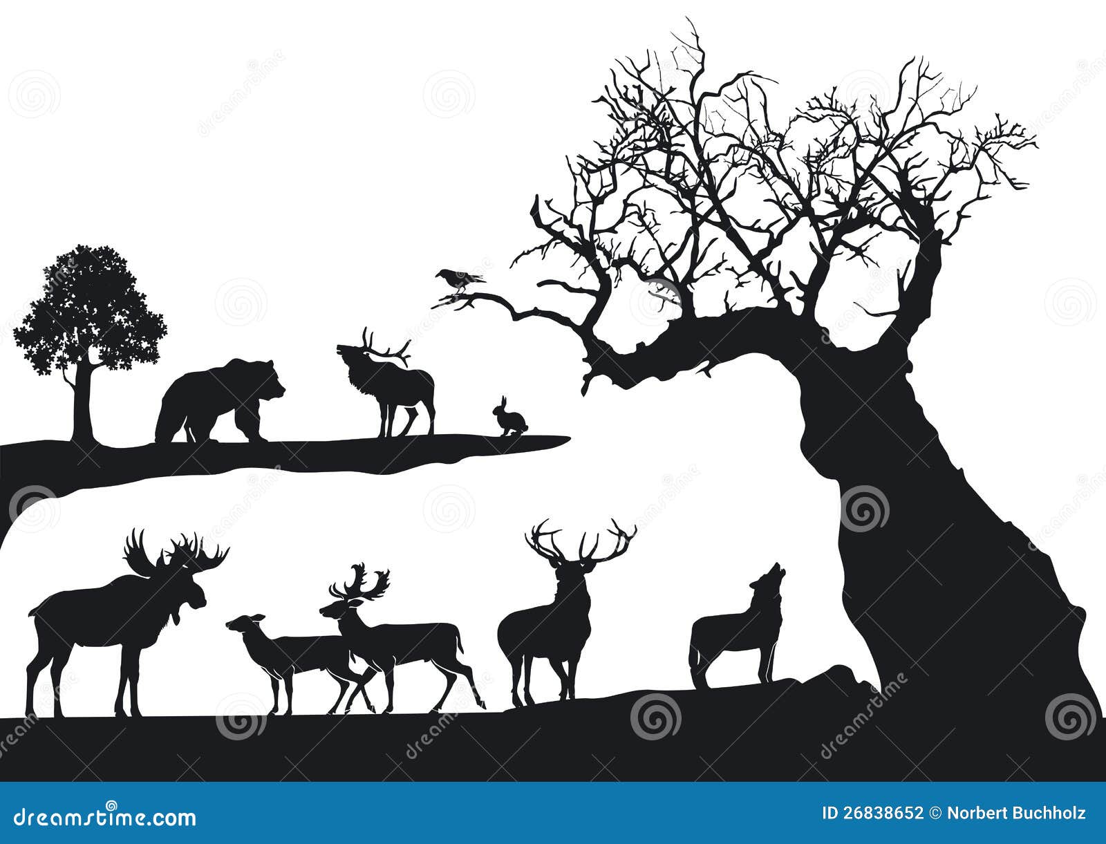 Gnarled tree and wildlife stock vector. Illustration of bear - 26838652