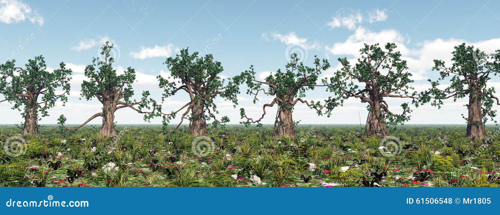 Gnarled Trees Royalty-Free Illustration | CartoonDealer.com #61506548