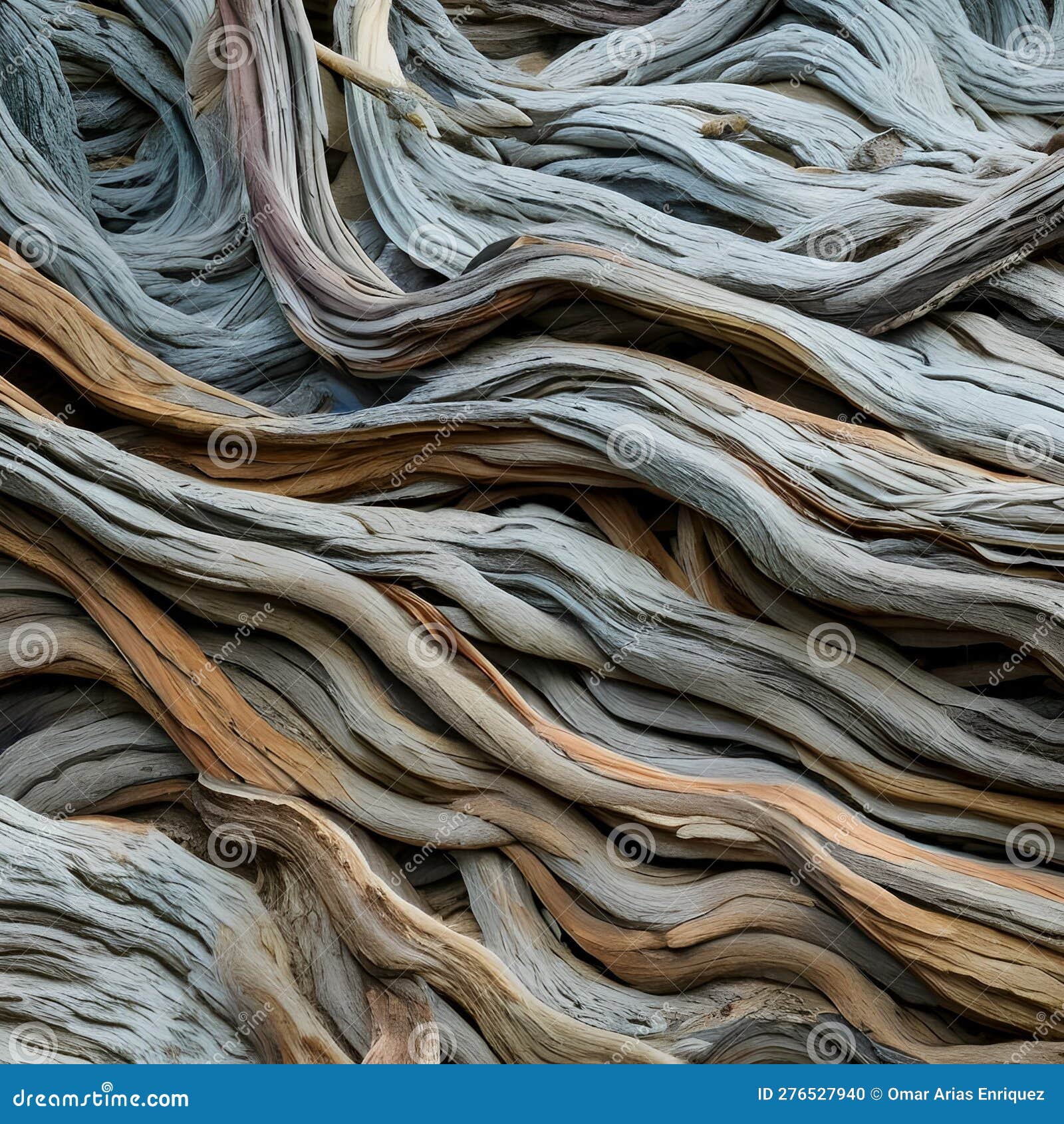 A Gnarled and Twisted Texture with Tree Bark and Tangled Roots1 ...