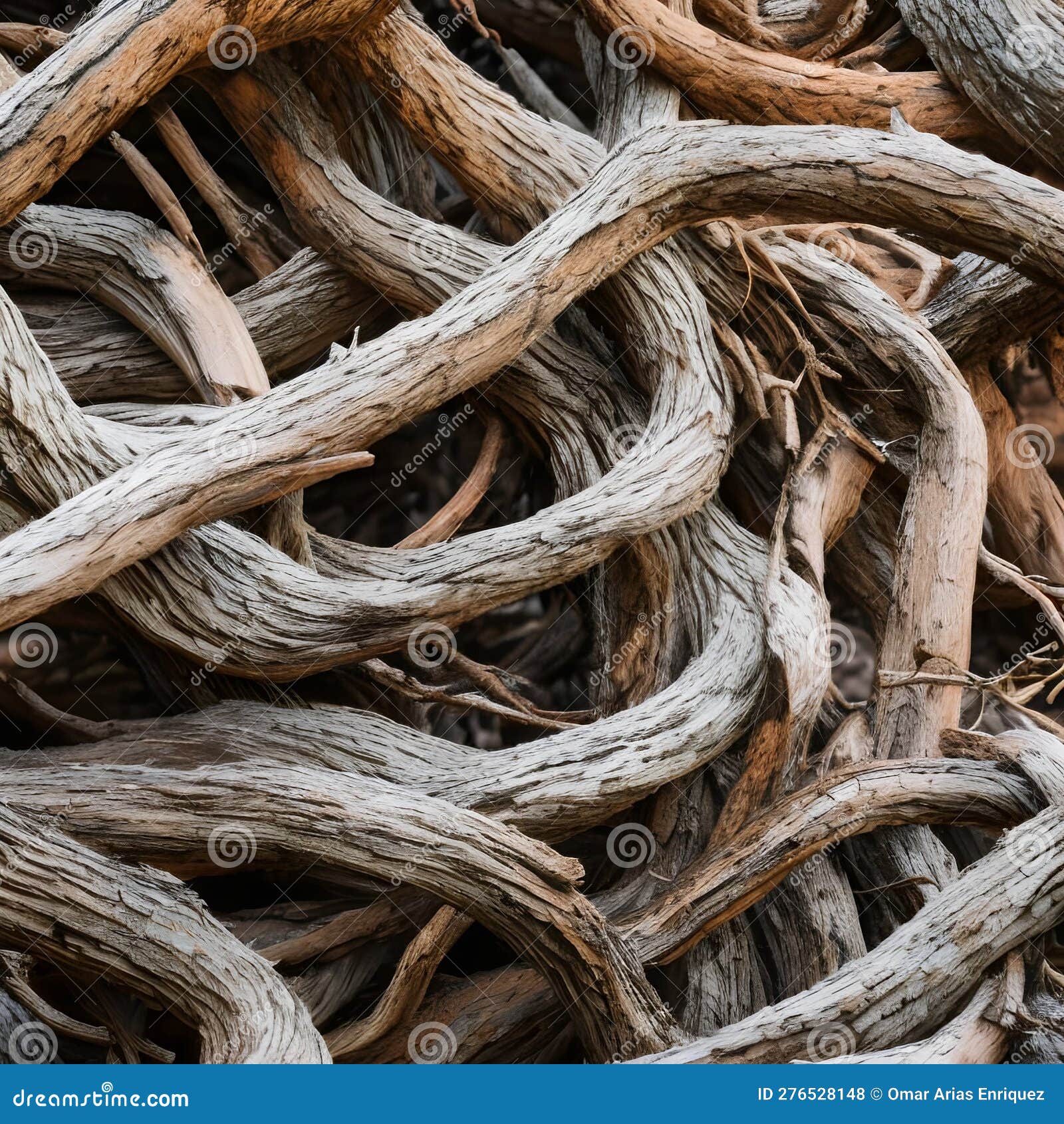 A Gnarled and Twisted Texture with Tree Bark and Tangled Roots5 ...