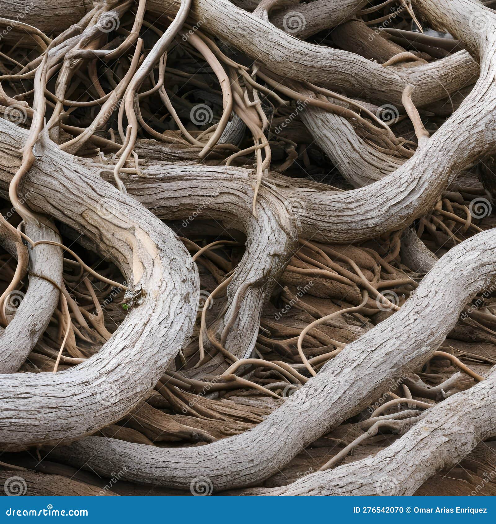 A Gnarled and Twisted Texture with Tree Roots and Twisted Vines2 ...