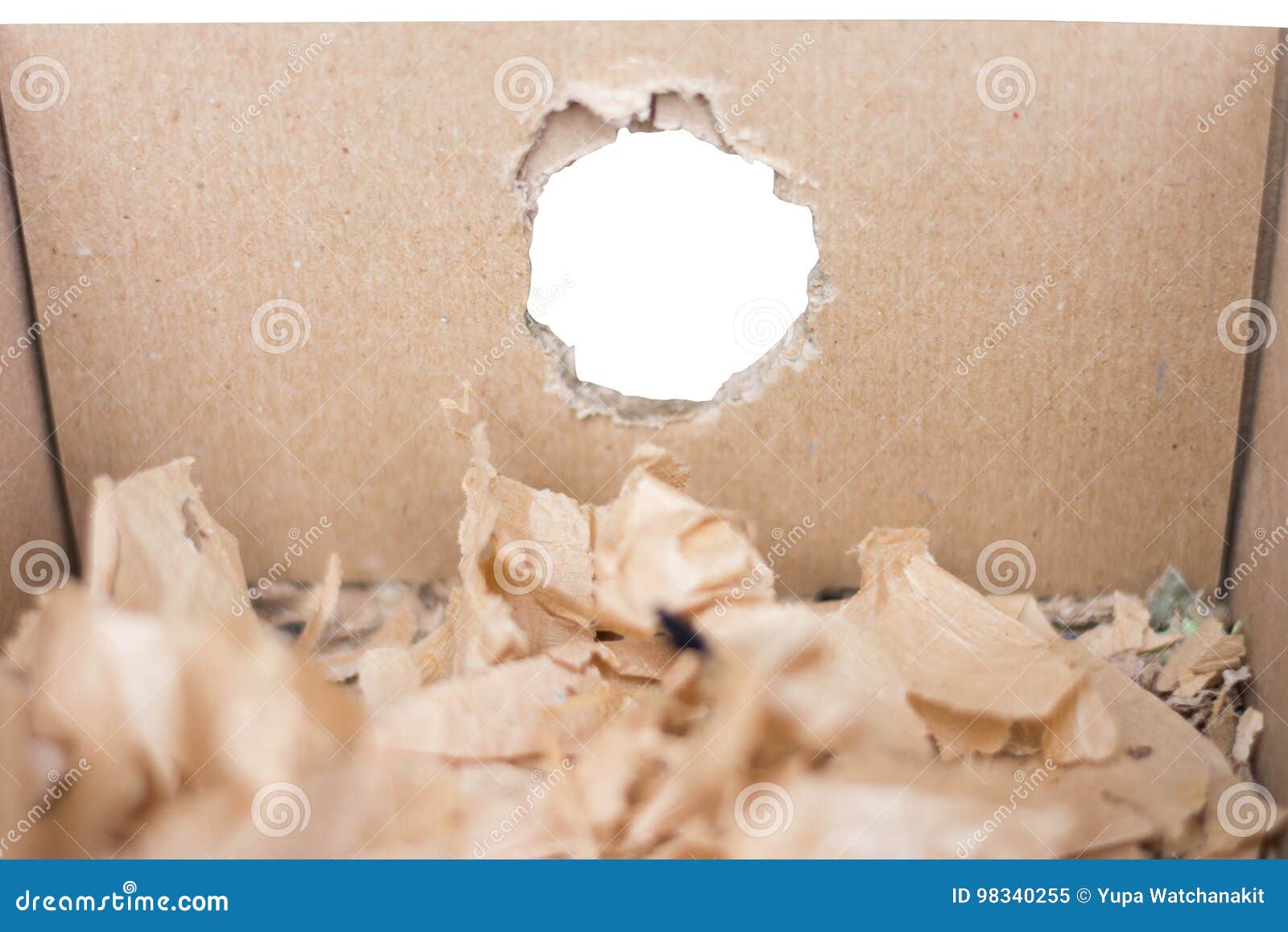 Gnaw mark of mice on paper stock image. Image of damage - 98340255