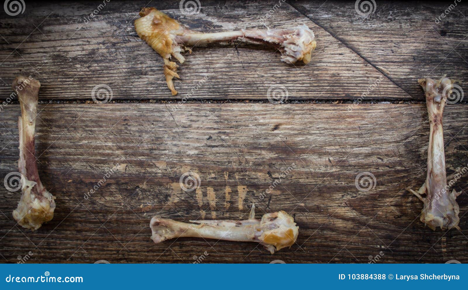 A Gnawed Bone in the Form of a Frame on a Wooden Board Stock Photo ...