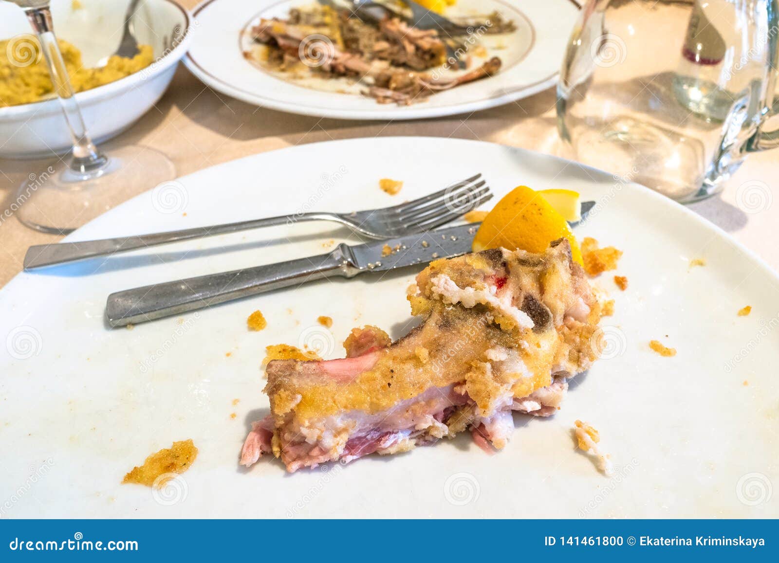 Gnawed Bones and Leftovers on Plates Stock Photo - Image of cotoletta ...