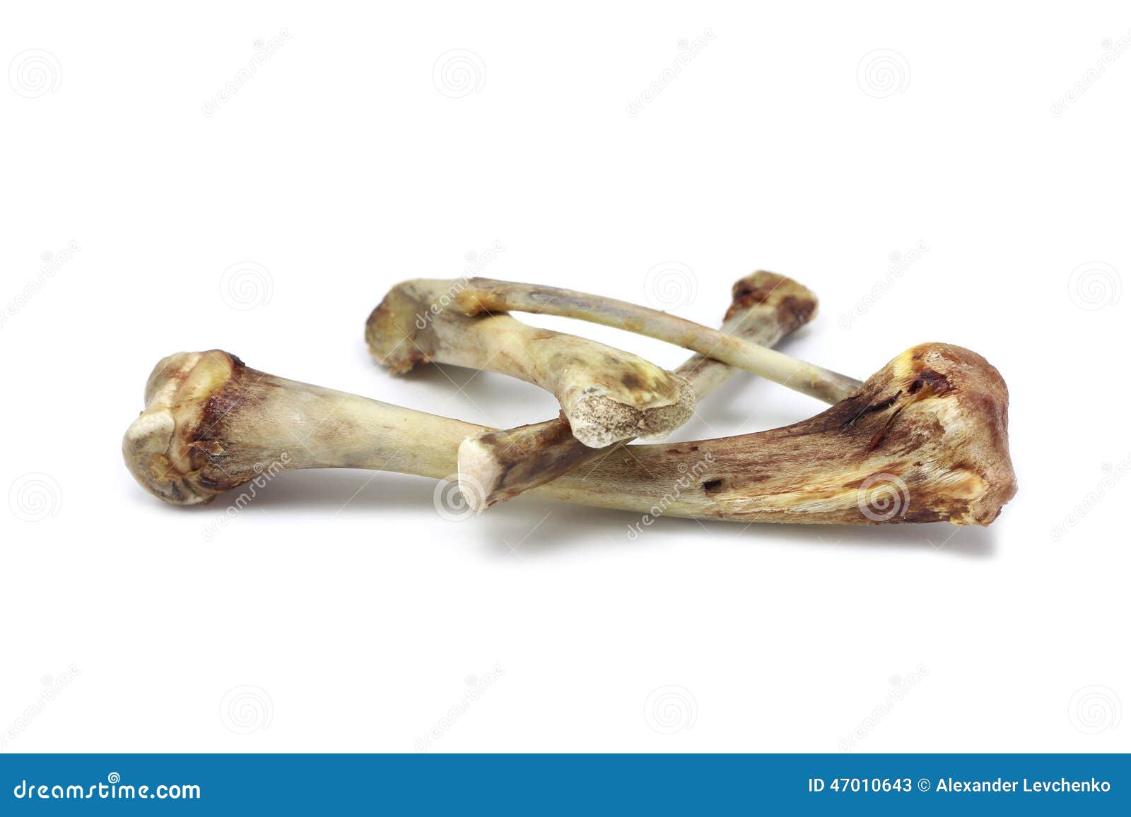 Gnawed chicken bones stock image. Image of meat, tissue - 47010643