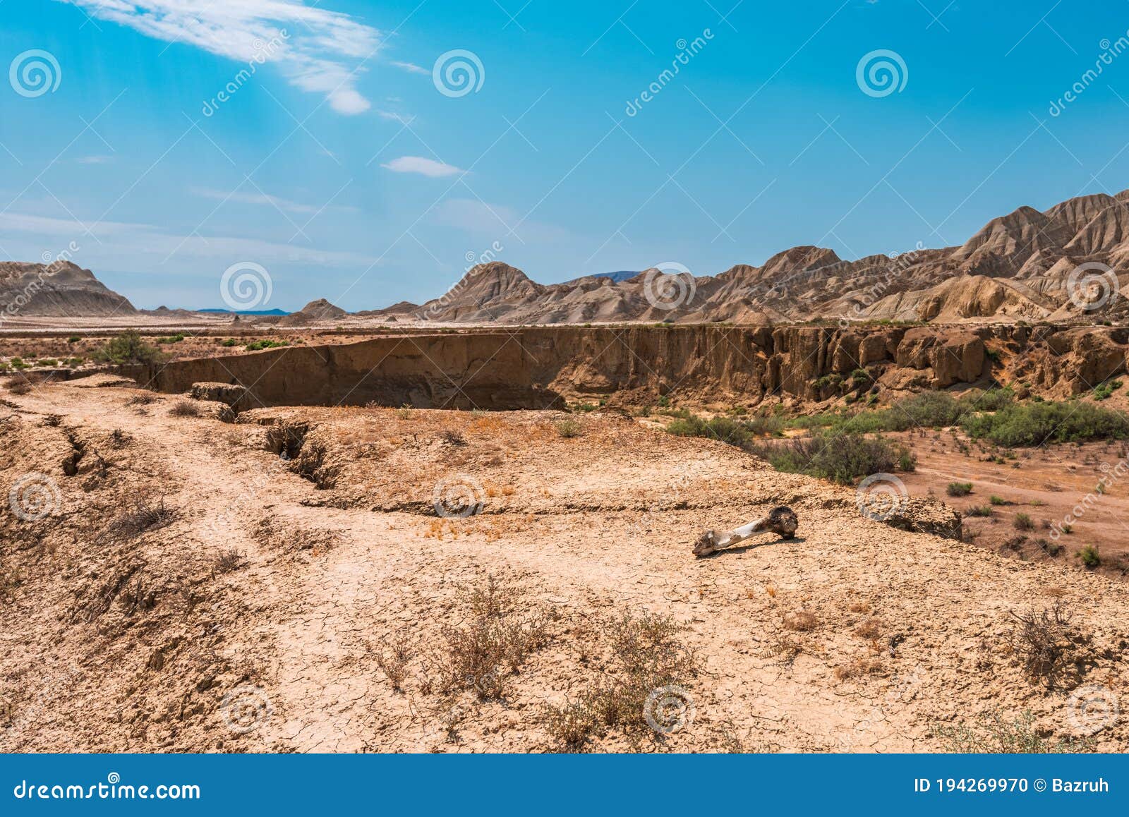 Bone In Desert Stock Photography | CartoonDealer.com #12989360