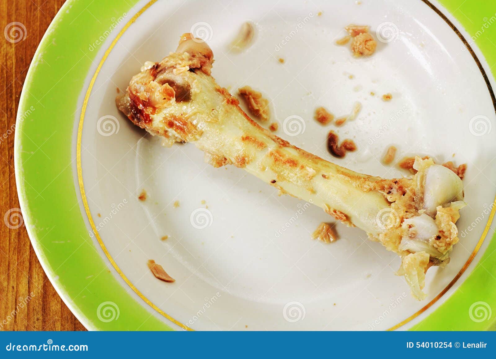 Gnawed turkey leg stock photo. Image of gnaw, hearty - 54010254