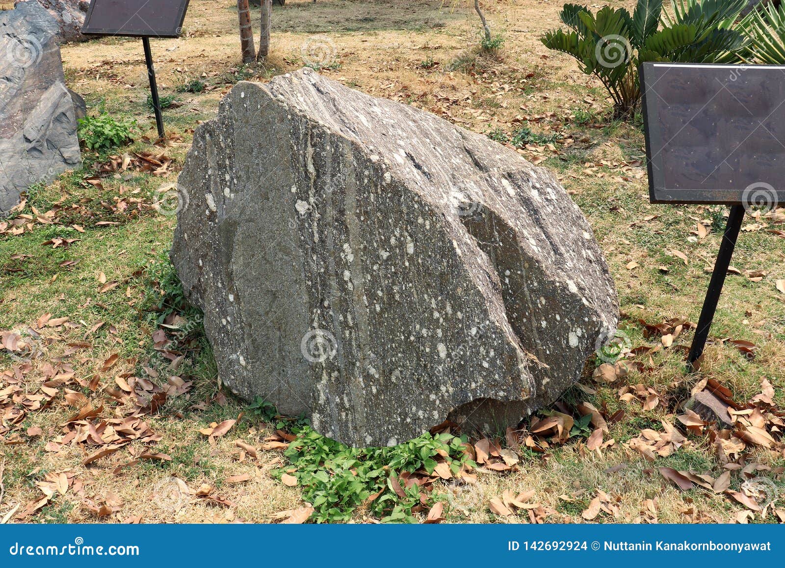 Gneiss is Formed by High Temperature and High-pressure Metamorphic ...