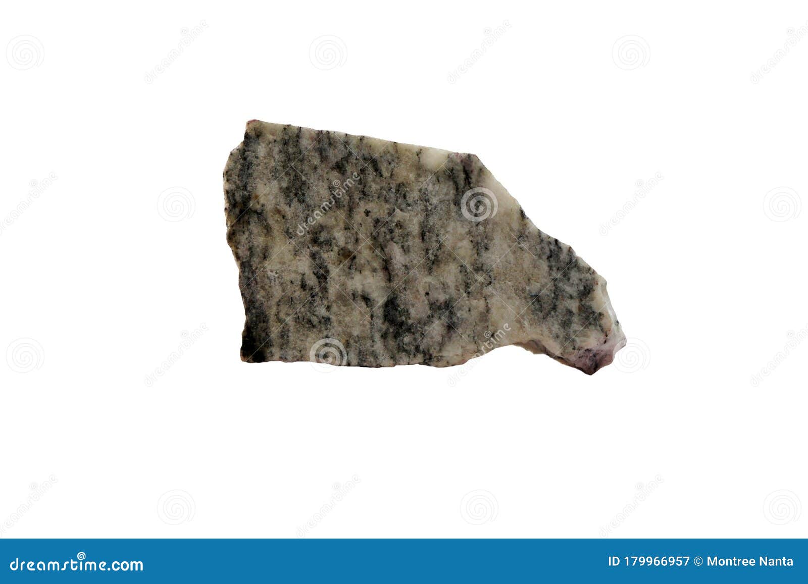 Gneiss Metamorphic Rock Pattern Stock Image | CartoonDealer.com #55642825