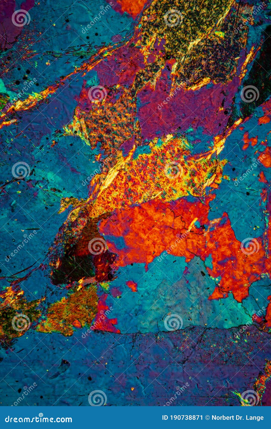 Gneiss Metamorphic Rock Under the Microscope Stock Image - Image of ...