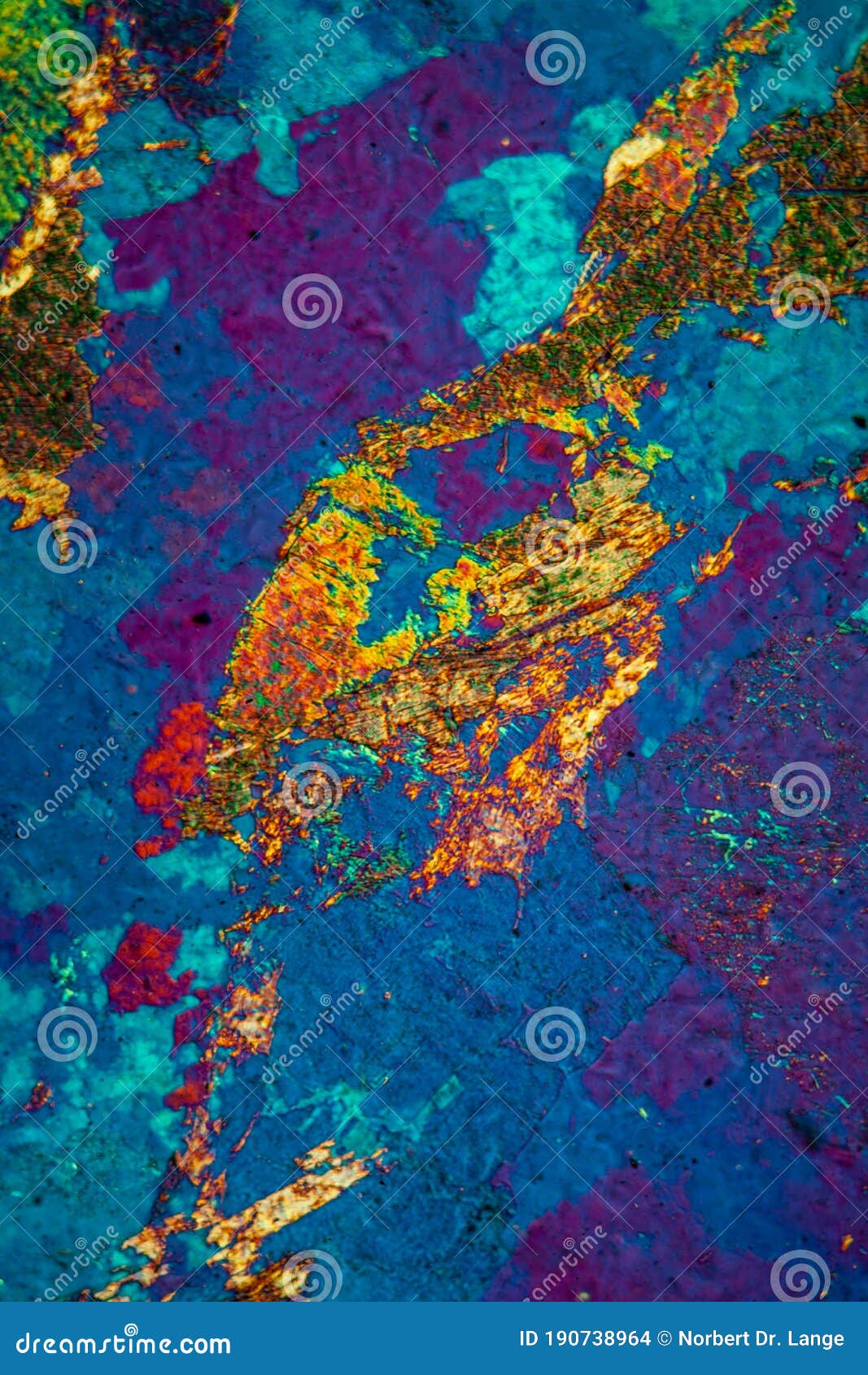 Gneiss Metamorphic Rock Under the Microscope Stock Photo - Image of ...