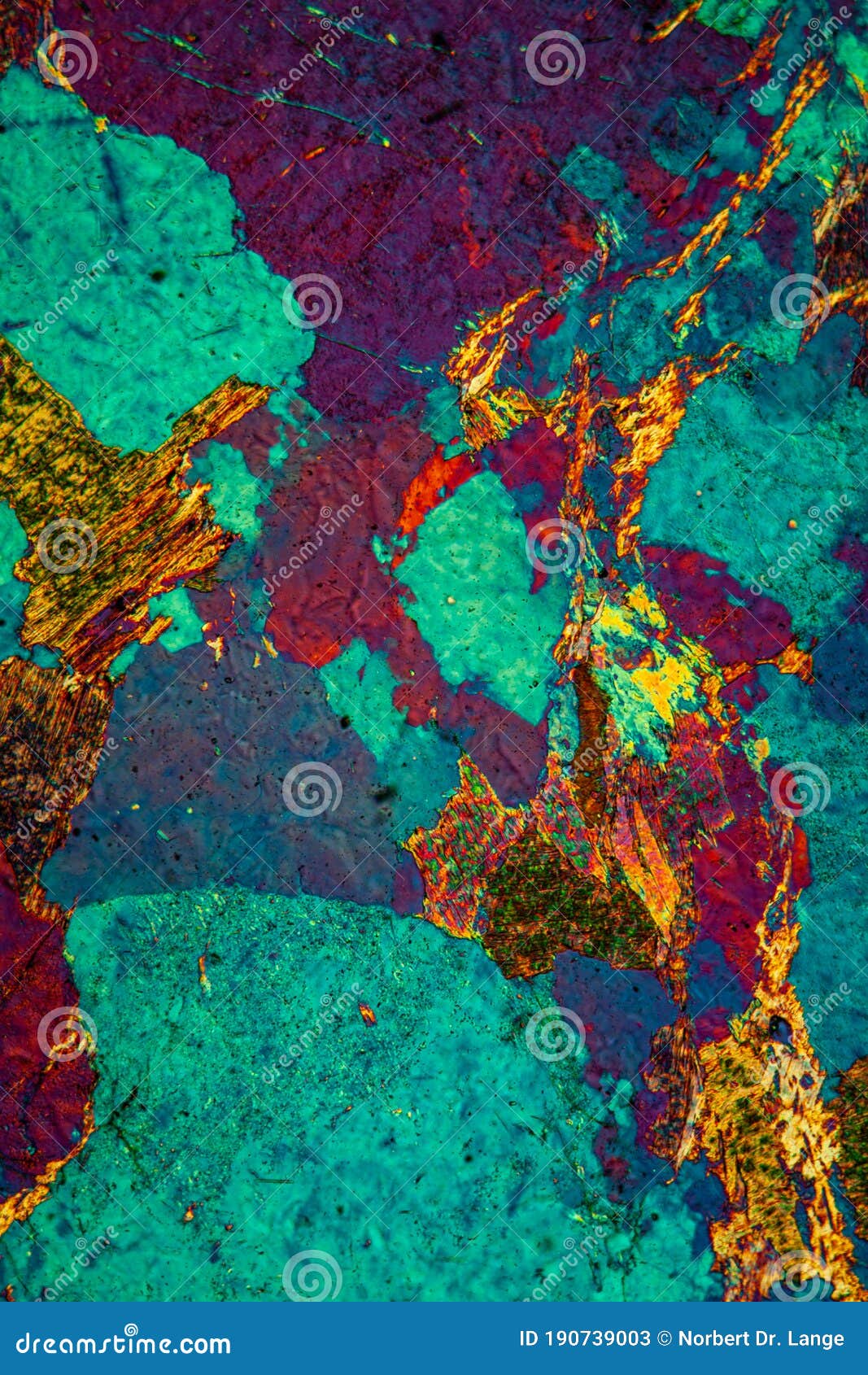 Gneiss Metamorphic Rock Under the Microscope Stock Image - Image of ...