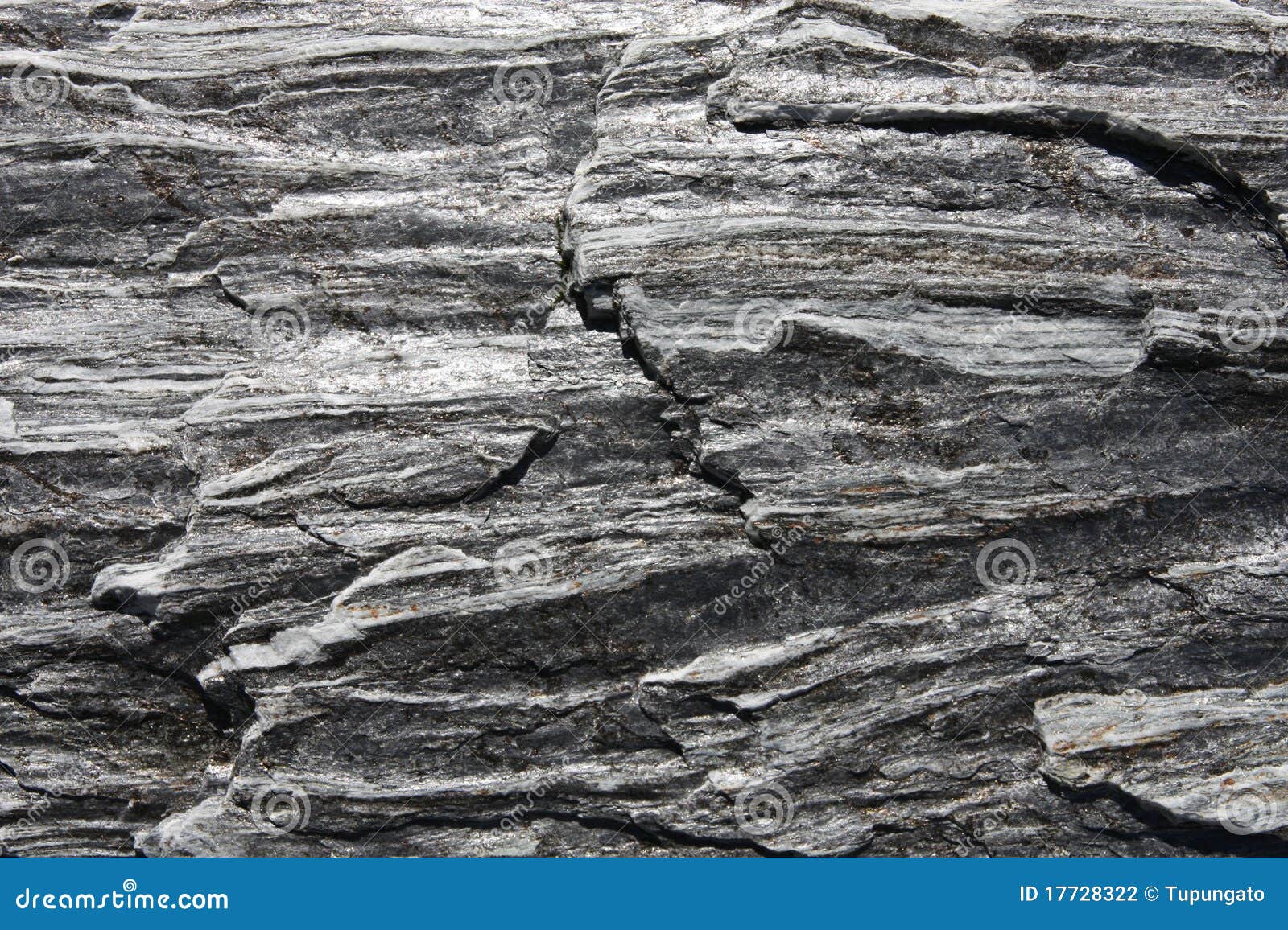 Gneiss rock stock photo. Image of metamorphic, gneiss - 17728322