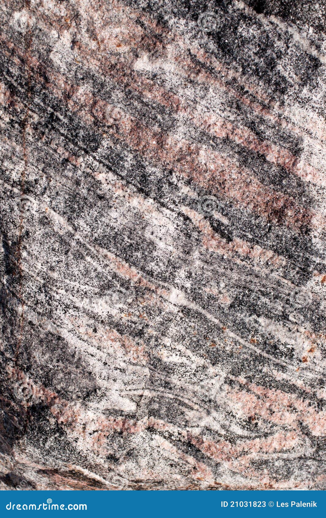 Gneiss Rock stock image. Image of metamorpic, gneiss - 21031823