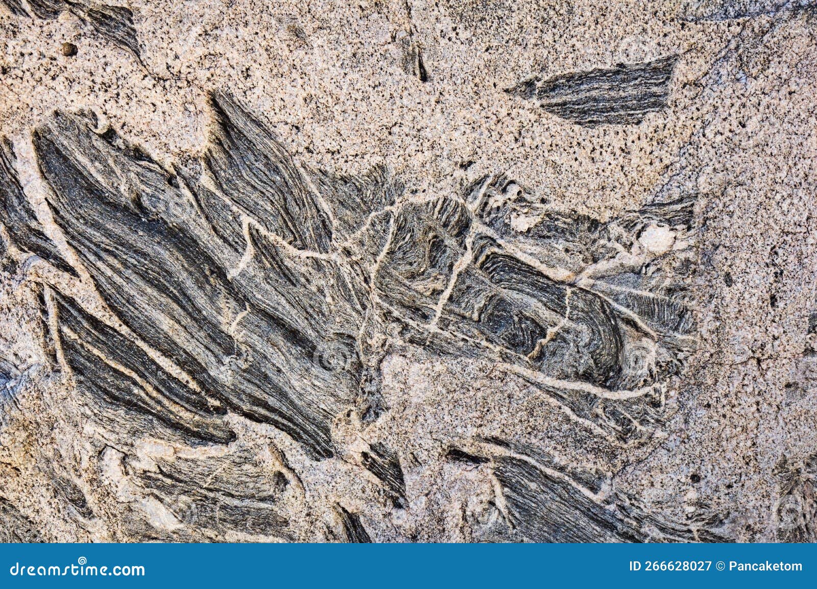 Gneiss Rock Isolated On White Background. Royalty-Free Stock ...