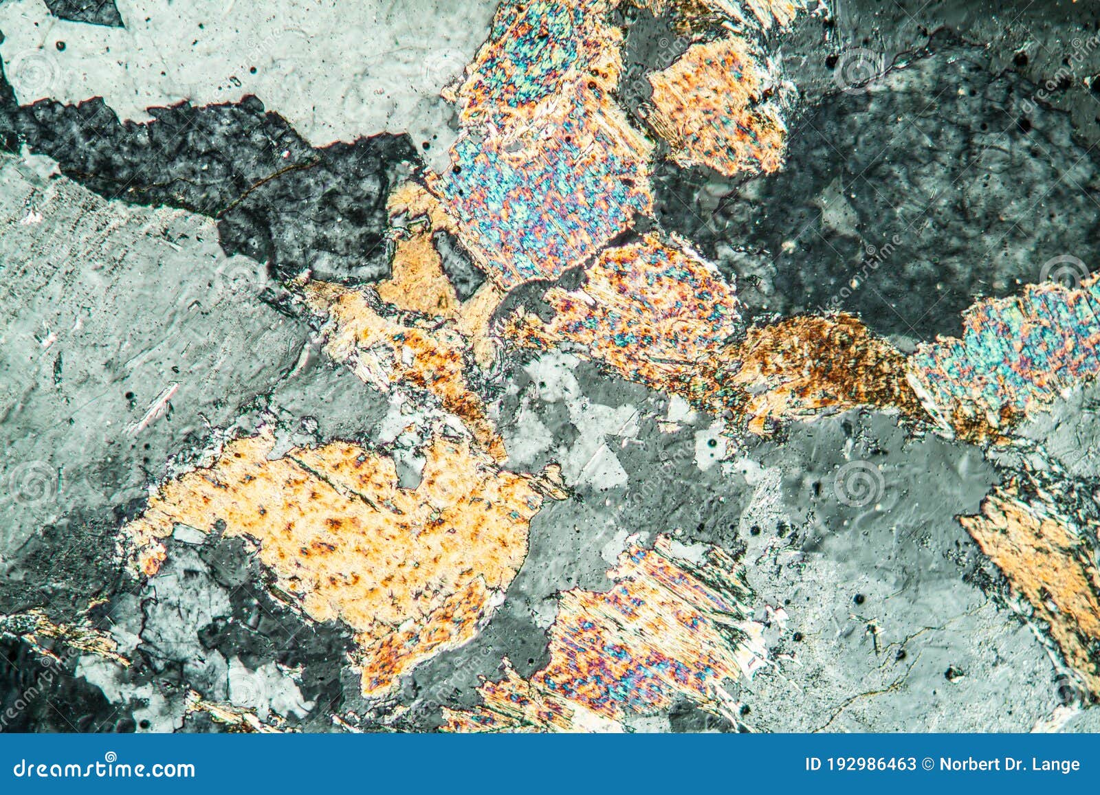 Gneiss Rock Under the Microscope Stock Image - Image of colored, fold ...
