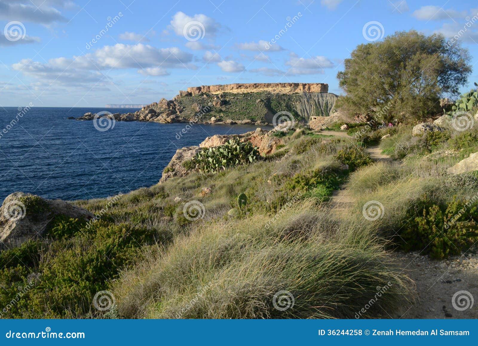 Gnejna Bay stock photo. Image of adults, polo, nature - 36244258