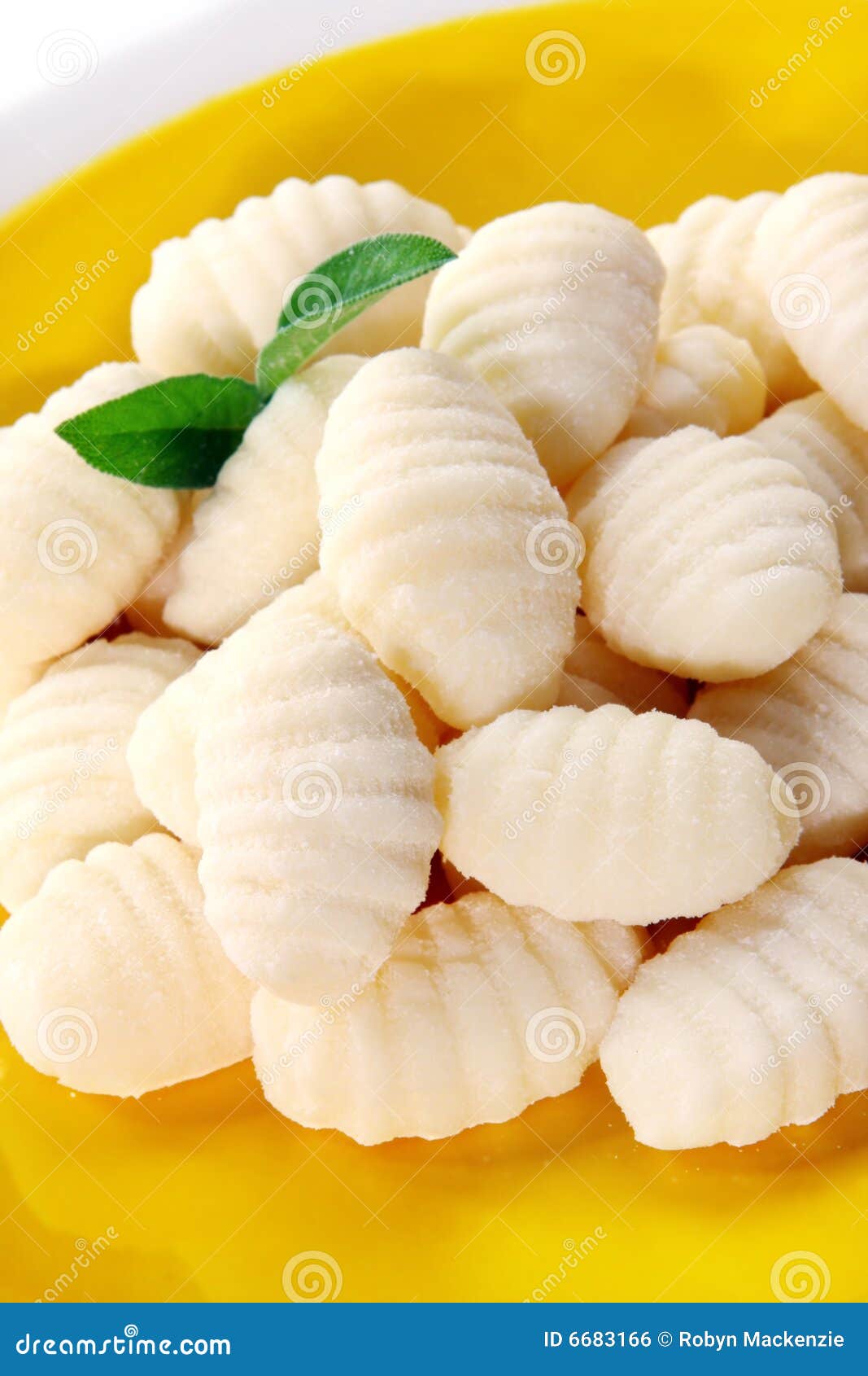 Gnocchi stock photo. Image of dish, sage, food, herb, plate - 6683166