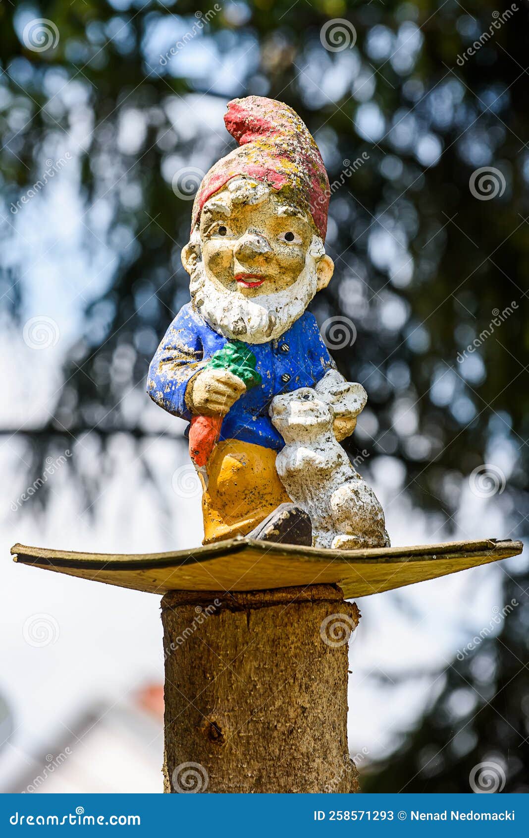 A Gnome Dwarf Statue in the Garden Stock Image - Image of happiness ...